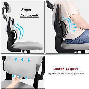 Ergonomic Office Chair Mesh Desk Chair Lumbar and Back Support Computer Chair with Adjustable Headrest Pillow 360 Swivel Casters and Flip-up Armrests for Home Office (Gray)