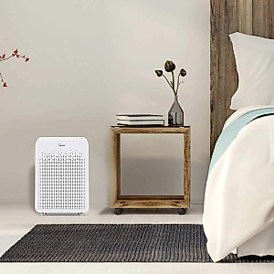Winix Air Cleaner with PlasmaWave Technology (C545)