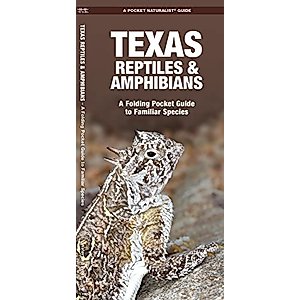 Texas Reptiles & Amphibians: A Folding Pocket Guide to Familiar Species (Nature Observation North America)