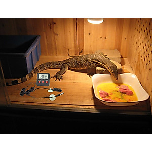 ETHMEAS Digital Thermometer and Hygrometer for Reptiles Terrarium pet keeping, Digital Indoor Outdoor Temperature Gauge and Humidity