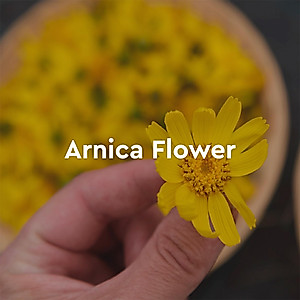 Kneipp Joint & Muscle Arnica Intensive Cream - 3.5 fl oz - Good for Achy Joints & Sore Muscles - Vegan