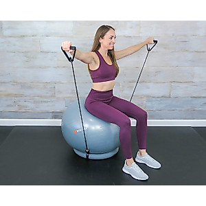 WISEMAX Exercise Ball Chair – Stability Yoga Balance Ball with Ring Base, Resistance Bands & Pump, Loop Bands, Carry Bag, Poster for Home, Office, Posture, Gym Bundle, Home Workout- 65cm