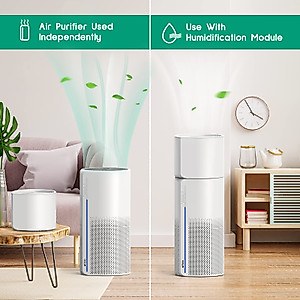 Air Purifiers for Home, Ture HEPA Active Carbon Cleaner Filter, 360° 3-Layer Filtration, Whisper Quiet Desktop Air Cleaner for Small Space, Remove Smoke, Allergies and Pet Dander, Afloia MIRO