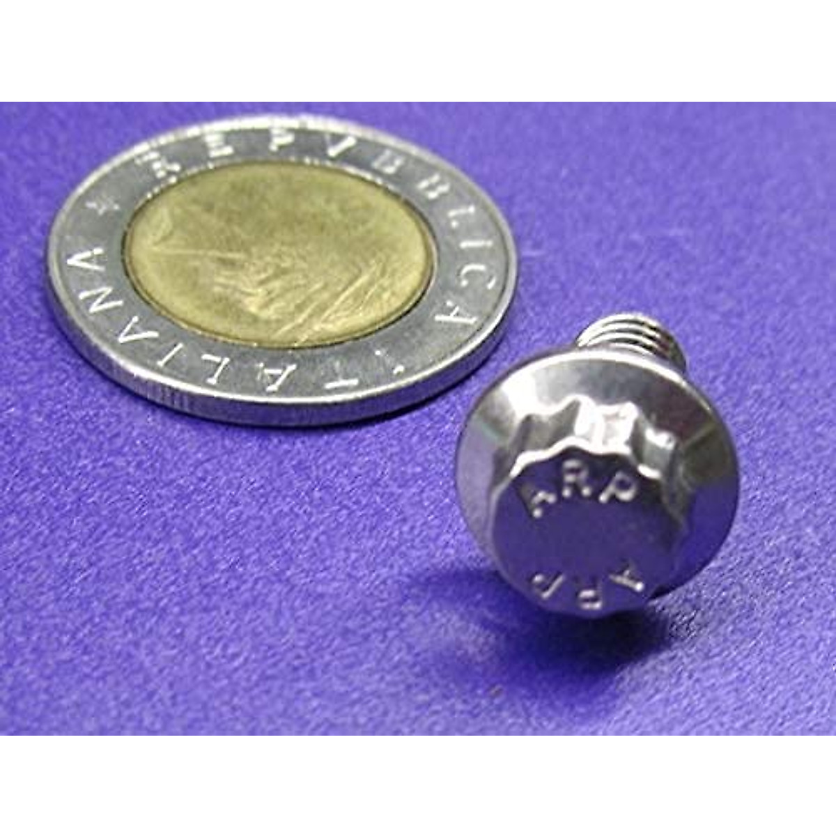 18-8 Stainless Steel 12 Point FT Bolts 1/4"-20 Thread x .500 Length 5 pcs