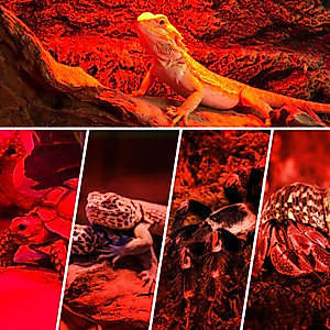 REPTI ZOO Reptile 50W Infrared Heat Lamp Bulb,2 Pack Infrared Basking Spot Light for Reptiles & Amphibian,Bearded Dragon,Leopard Gecko,Turtle,Lizard,Chickens | Pet Brooders Night Heat Lamp