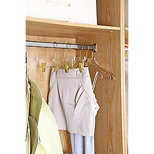 YBM Home Quality Acrylic Clear Skirt Hangers Made of Clear Acrylic for a Luxurious Look and Feel for Wardrobe Closet, Skirt Hangers Organizes Closet, Silver, 4103-1