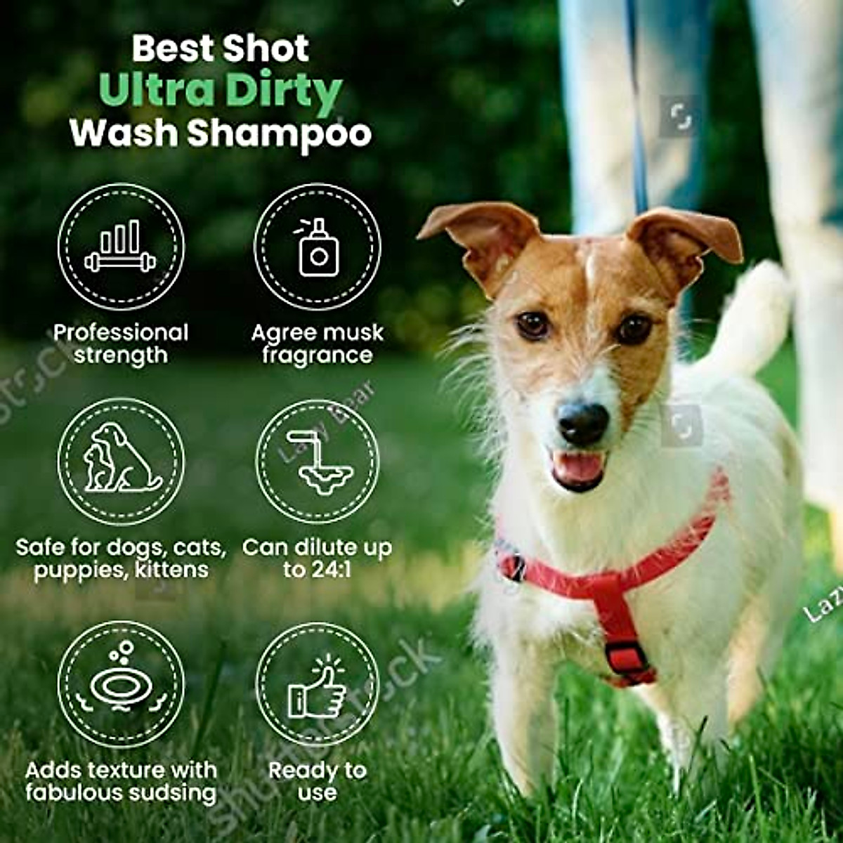 Best Shot Ultra Dirty Wash Shampoo, Coat and Skincare Product for Dogs and Cats, Soap-Free, Quick-Rinsing, Refreshing Agree Musk Fragrance, 16 Oz