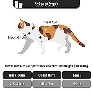 VKPETFR Cat Harness and Leash Set with Airtag Holder, Cats Escape Proof, Adjustable Kitten Harness for Small Large Cats, Lightweight Soft Walking Travel Harness(Black)