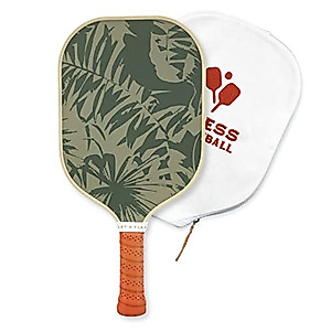 Recess Pickleball Paddles - USA Pickleball Association Approved Racket - with Honeycomb Core, Fiberglass Exterior, Canvas Covers, & Comfort Grip - Premium and Lightweight