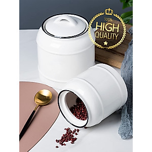 COCOYA 10cup/85oz Large Ceramics Jar with Lid,Big Dry Food Storage Canister Container Porcelain Kitchen Countertop Pantry Farmhouse Round Heavy Store Candy Bean Flour Snacks Cookie Cereal (White)