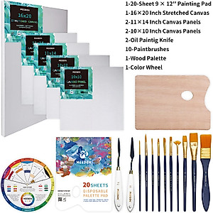 MEEDEN Acrylic Painting Set, Acrylic Paint Set with French Easel, 15x100ML Acrylic Paints, Paintbrushes, Stretched Canvases, Acrylic Painting Supplies,Easel Sets for Painting for Adults