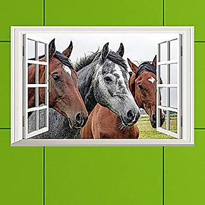 Home Find Horse Wall Decals 3D Faux Window View Decals Removable Fake Window Scene Wall Stickers Home Decor Art Mural Animals for Living Room Kids Room Nursery 23 inches x 15 inches