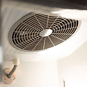 PEAKCOLD Single Door Commercial Reach In Stainless Steel Freezer, White Interior; 23 Cubic Ft, 29 Wide inch