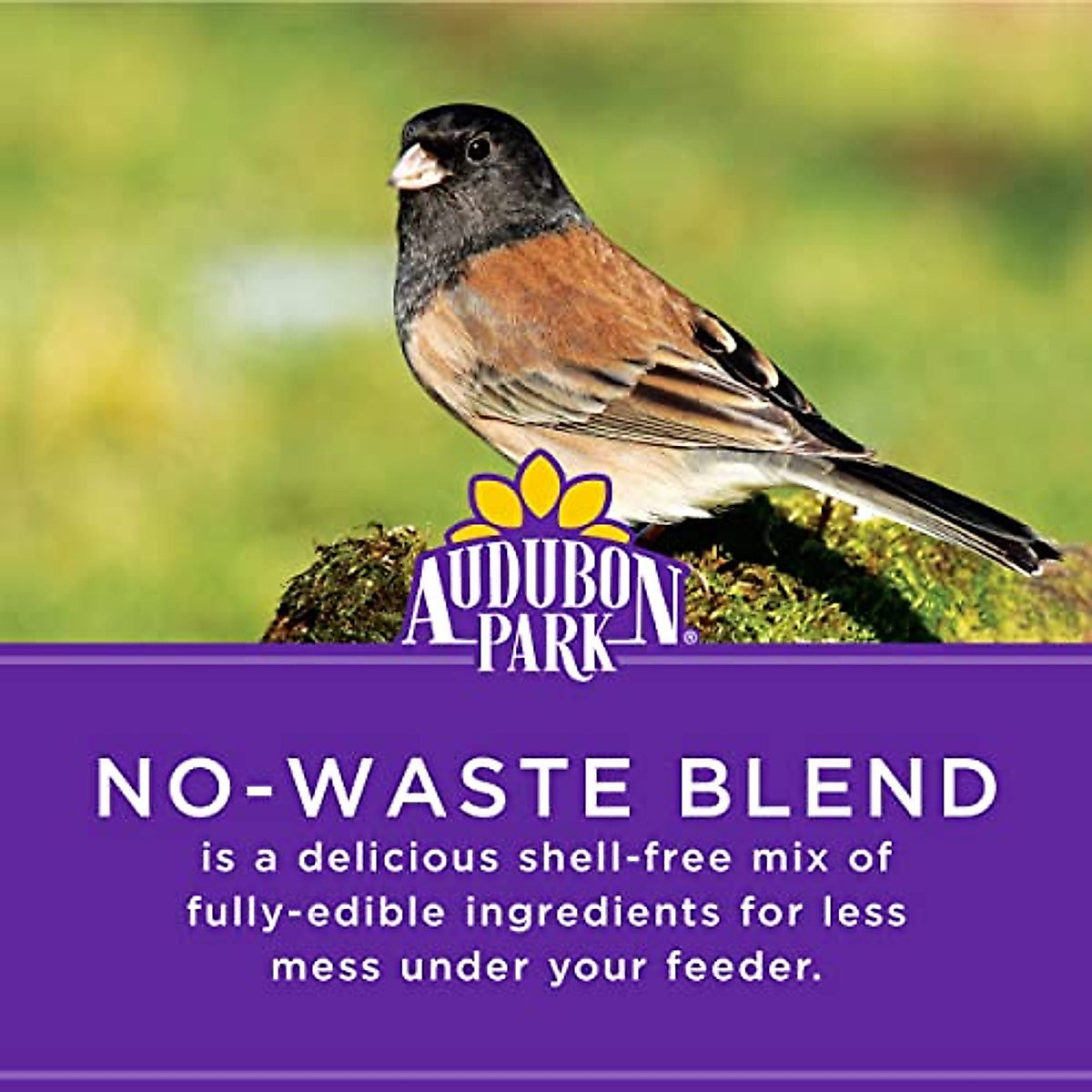 Audubon Park No Waste Blend Wild Bird Food, Premium Shell Free and No Mess Bird Seed for Outside Feeders, 5-Pound Bag