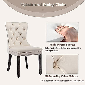 KCC Velvet Dining Chairs Set of 4 (Renewed), Upholstered High-end Tufted Dining Room Chair with Nailhead Back Ring Pull Trim Solid Wood Legs, Nikki Collection Modern Style for Kitchen, Beige