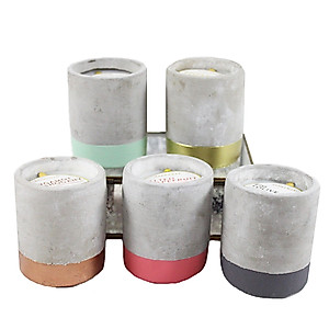 Paddywax Candles Urban Collection Soy Wax Blend Candle in Concrete Jar, Small- 3.5 Ounce, Amber + Smoke