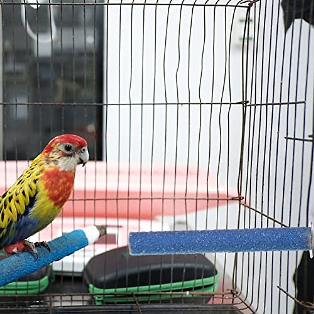 5pcs Grinding Budgies Wooden Parakeets Hanging Stand Conure Food Accessories Cage Cockatiel Balance Bird Climbing Standing for Parakeet Bowl Birdcage Toy: Bite Cockatiels Natural