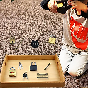 Inslat Montessori Lock and Key Toy Set for Toddlers, Montessori Elementary Materials Educational STEM Toy Matching Games Lock Set with Wooden Tray for 3 4 5 Year Old Kids