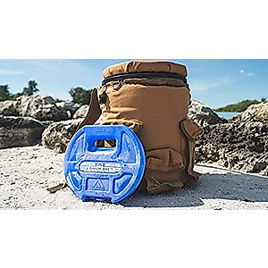 ARCTIC ICE Chillin' Disc, Long Lasting Reusable Ice Pack, 4.0 LB, Blue