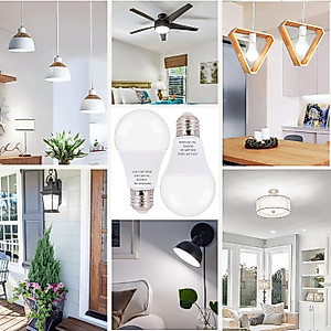 A19 LED Light Bulb,120 Watt Equivalent LED Bulbs, Daylight White 5000K, 1600 Lumens, E26 Standard Base, Non-Dimmable, 13W Bright LED Bulbs, Frosted,4 Count (Pack of 1)