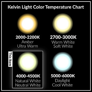 Simba Lighting LED Edison Vintage Vanity Globe Filament G25 (G80) 6W Dimmable 60W Equivalent (3 Pack) 120V Light Bulb for Bathroom Makeup Mirror, Medium E26 Base, CE and RoHS, Natural White 4000K