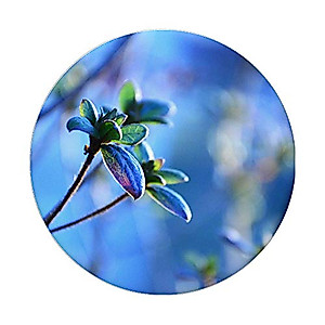 TGM Plant PopSockets Stand for Smartphones and Tablets