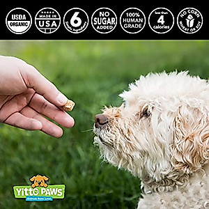 Yitto Paws Organic Puppy Treats - Healthy Dog Training Treats, All Natural Dog Biscuits for Small Dogs Puppies & Training, Mini Peanut Butter Snacks Made in USA, Human Grade Low Calorie Cookies
