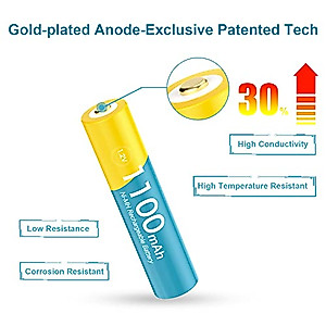 Deleepow 1.2V Rechargeable AAA Batteries 1100mAh Nimh AAA Rechargeable Batteries 8-Pack Gold-Plated Anode with USB-C and Micro USB 2 Charge Port LCD Charger