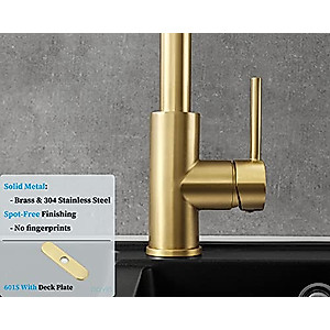 Havin Gold Kitchen Faucet with Pull Down Sprayer, High Arc Stainless Steel Material, with cUPC Ceramic Cartridge,with 10" Deck Plate,Fit for 1 or 3 Holes Kitchen Sink or Laundry Sink,Brushed Gold