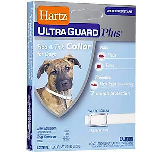 Hartz Ultraguard Plus Flea & Tick Dog Collar