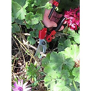 TABOR TOOLS S821A Bypass Pruning Shears, Makes Clean Cuts, Great for S-M Size Hands. Professional Sharp Secateurs, Hand Pruner, Garden Shears, Clippers for The Garden.