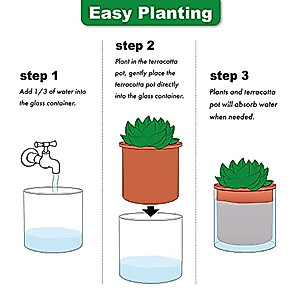 Phoenix Vine 4 Inch 6 Inch Self Watering Plants Pots, Design Terracotta Pots for Plants, Indoor Cylinder Terra Cotta Planter with Glass Vase Set, 51-A-G