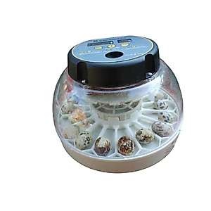 Coturnix Quail Turner Tray Compatible with The Kebonnix Incubator