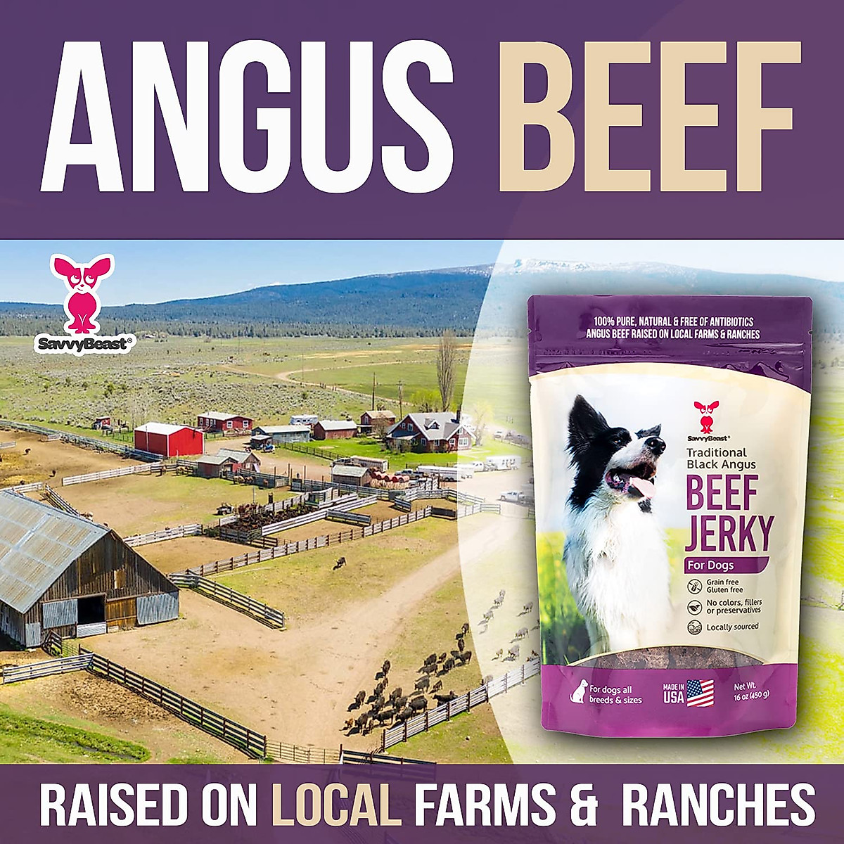 Beef Jerky Dog Treats for Dogs - 16 oz Grass-Fed Natural Real Meat Jerky Made in the USA Only - Thin Healthy Grain Free Chew Sticks - High in Protein Tender Strips - Perfect for Training & Rewarding