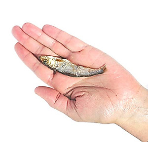 Plato Baltic Sprat 3oz