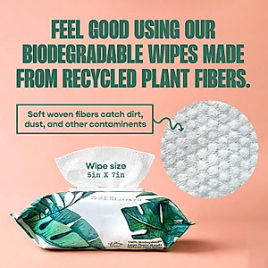 Plant Cleaning Wipes by Southside Plants - Gentle, Plant-Based Wipes for Shiny Leaves and Better Photosynthesis - Unscented, Extra Thick Waffle Weave Leaf Wipes for Indoor & Outdoor Plants - 80 Ct