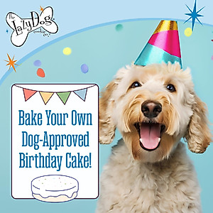 The Lazy Dog Cookie Co. Bake-at-Home Vanilla Birthday Cake Mix Dog Treat, 12-oz