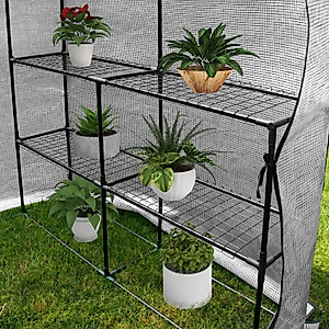 LYNSLIM Mini Greenhouse, 48" x 24"x 21.6" PE Cover, Garden Greenhouse with Roll-up Zipper Door, Portable Garden Green House for Indoor Outdoor