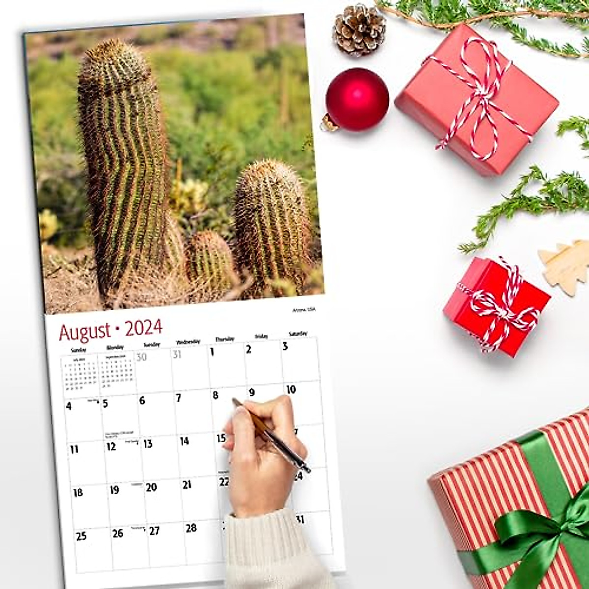 RED EMBER D'ck Pics in Nature 2024 Wall Calendar 12 Month | 12" x 24" Open | Thick & Sturdy Paper | Giftable | Calendar 2024