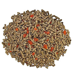 Sugar Glider Diet with Papaya and Eucalyptus (2 lb) - High Protein All Natural Healthy Sugar Glider Food - Nutritionally Complete Staple Diet