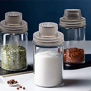 2 Pack Stainless Steel Mason Jar Shaker Lids with Silicone Seals for Regular Mouth Mason, Canning Jars Spices, Salt, Peppers or Shake Drinks Cocktail