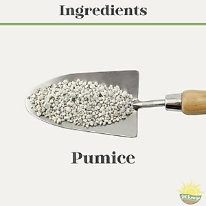 Horticultural Bonsai Pumice Soil Additive (4 Quarts), 7LB Ideal Substrate for Bonsai Trees, Cactus and Succulents