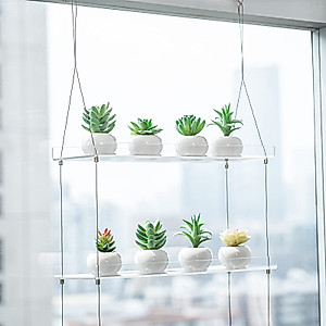 Sumerflos 2-Tier Acrylic Plant Shelves for Window of Kitchen, Bedroom, Living Room, 16 Inch Window Wall Flower Double Hanger Boxes, Height Adjustable Hanging Shelves for Indoor Plants, Succulents