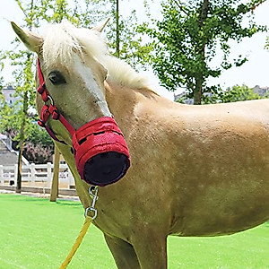 Harrison Howard Horse Grazing Muzzle Feed Bag Easy Breathe Red Large