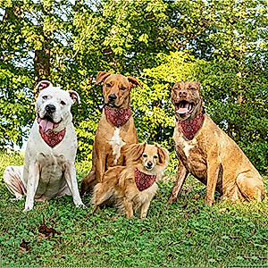 Christmas Pet Triangle Scarf for Small Medium Large Dogs Cats Pets Christmas Gold White Snowflakes Dog Bandana Dog Accessories Collar