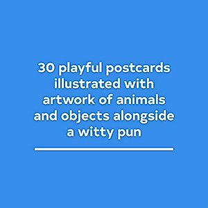 Have a Little Pun: 30 Postcards: (Illustrated Postcards, Book of Witty Postcards, Cute Postcards)