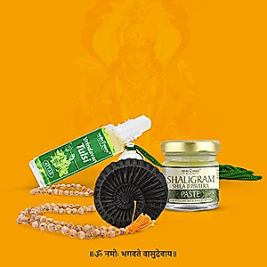 Vedic Vaani Siddh Vishnu Vinayak Divine Sudarshan Shaligram Stone Shila (Pack of 4)