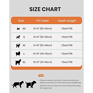 FAYOGOO Service Dog Vest for Small Breed - Lightweight Dog Harness with 6PCS Removable Patches - Puppy Harness and Leash Set for Walking,Training