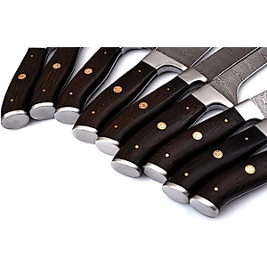 Handmade Damascus Kitchen Chef Knife Set - Professional Damascus Steel Knife Set - 10 pcs Japanese Damascus Knife Set With Leather Bag/Case(10801)