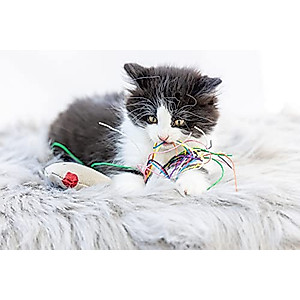 Honest Pet Products Eco Kitty Bird is a Truly Natural and Safe Toy for Your Kitty. Filled with Organic Catnip, Enticing Rattle and Colorful Hemp Twine Tail. Made in The USA and Money Back Guaranteed